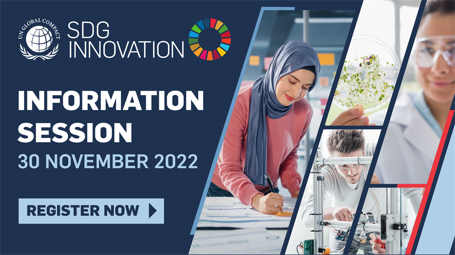 Information Session for the SDG Innovation Accelerator for Young Professionals
